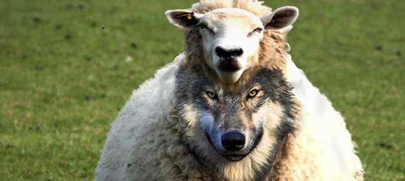 How To Detect A Wolf In Sheep Clothing - Queen Esther Preparation
